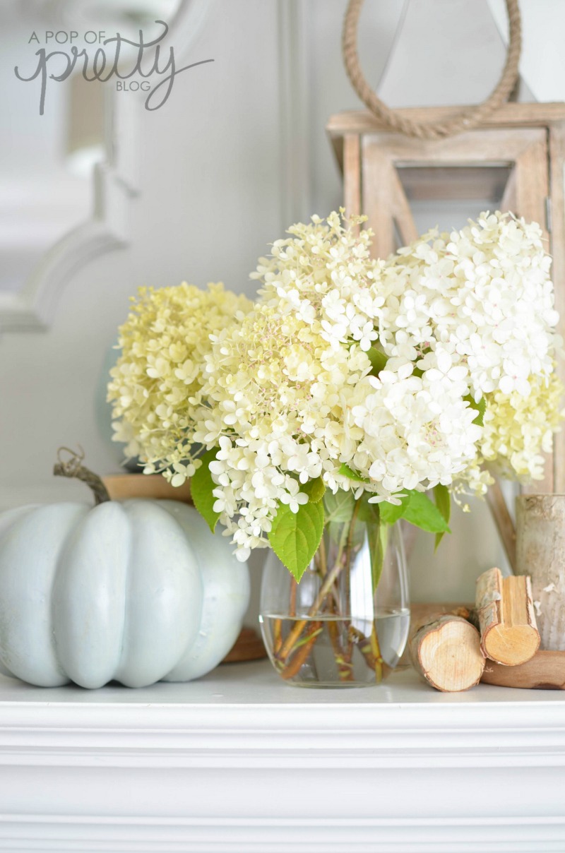 Early Fall Decorating with Hydrangeas